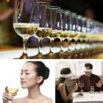 Macabeo (Viura). Características, Cultivo, Enología y Cata