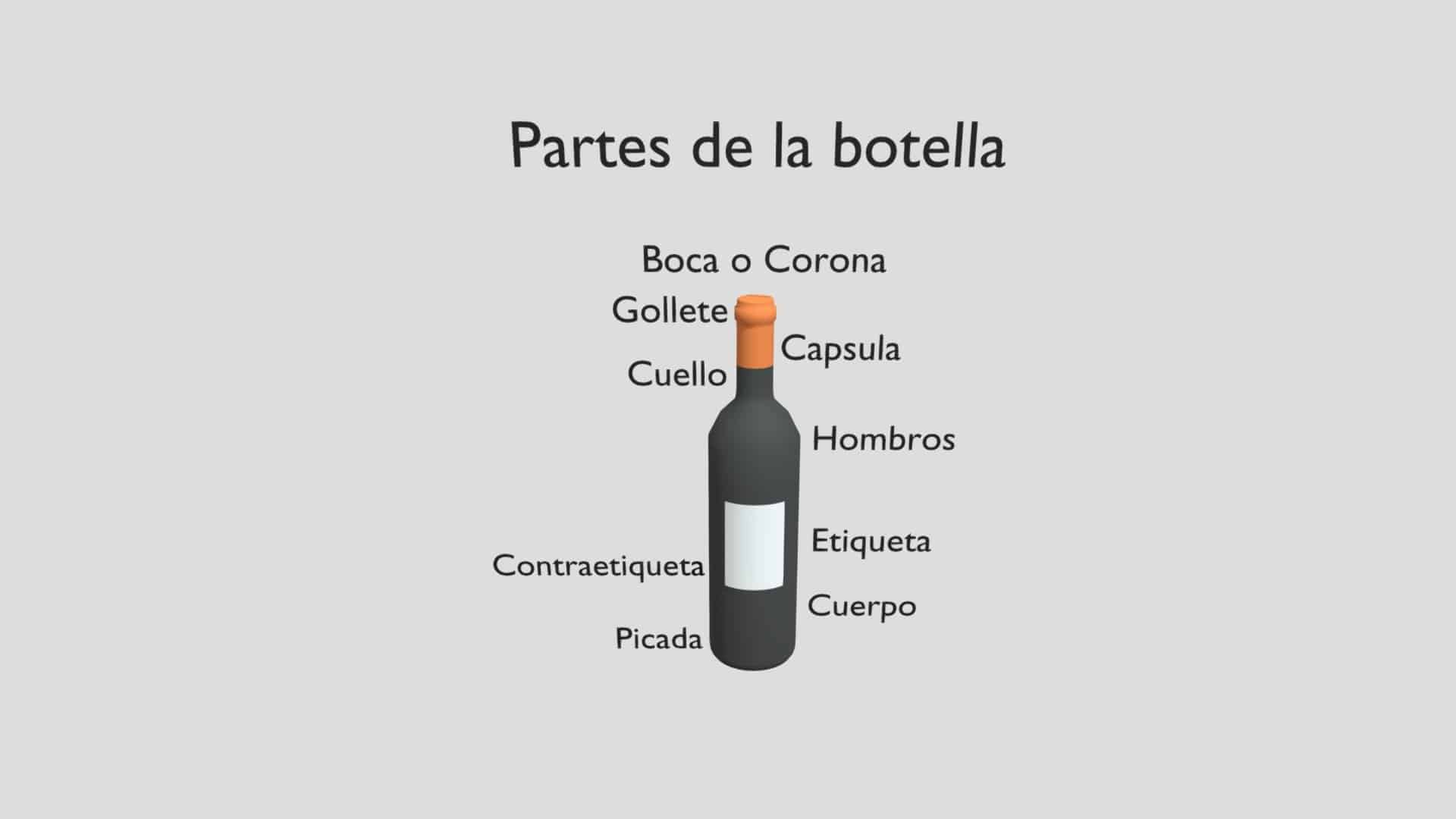 Botellas de Vino: La importancia de seleccionar la botella adecuada